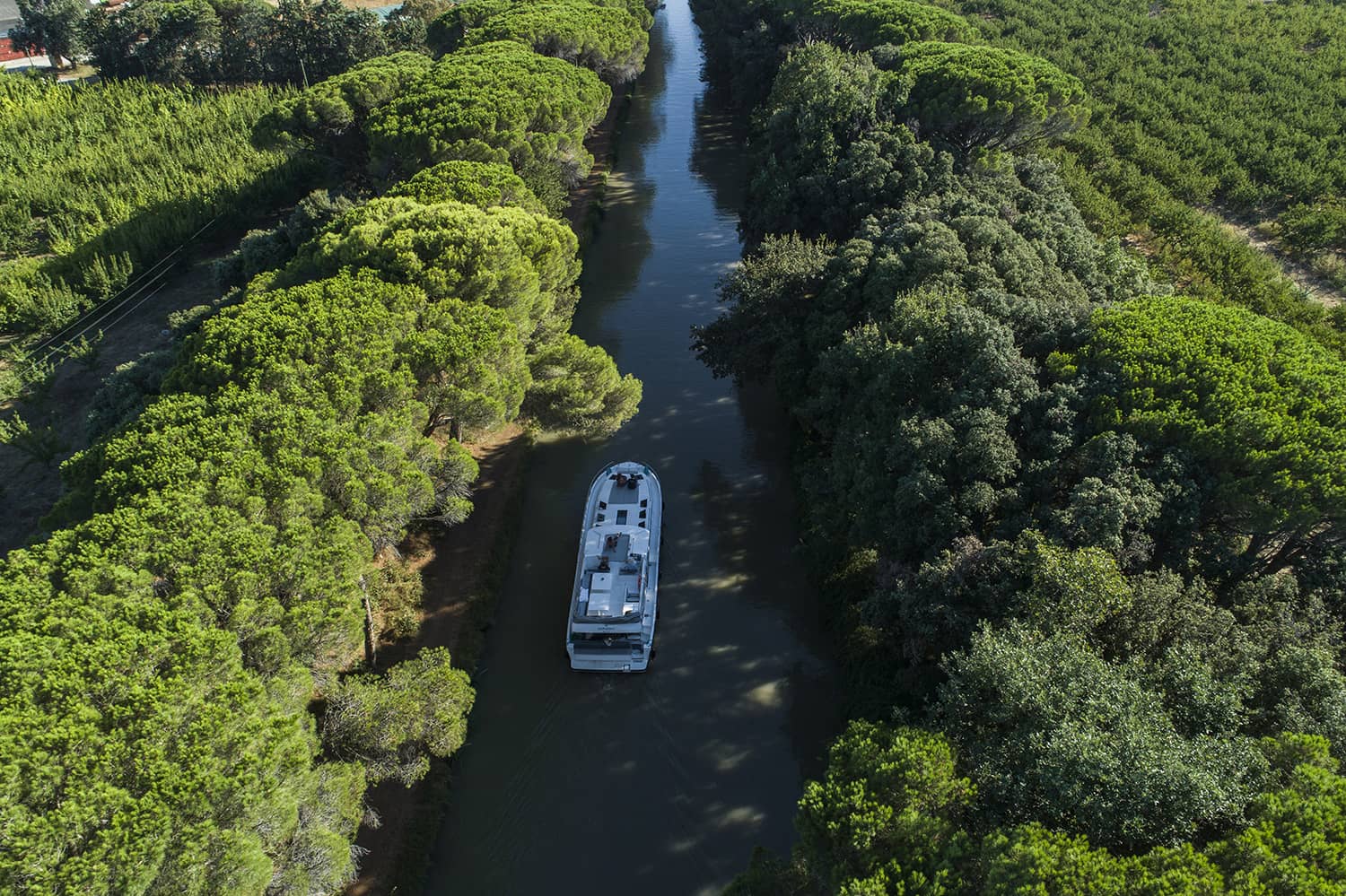 Why the river transport industry is booming - Paris Nautic Show